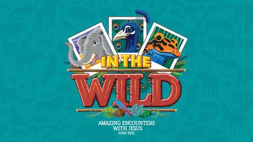 Into the Wild- VBS 2019 (South Campus) :: VBS Pro :: Group Publishing