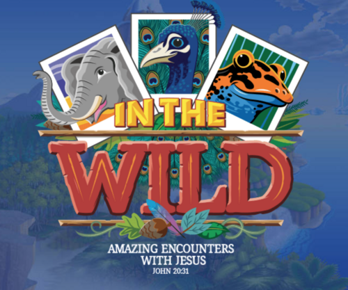 NCBC 2019 VBS: In the Wild :: VBS Pro :: Group Publishing