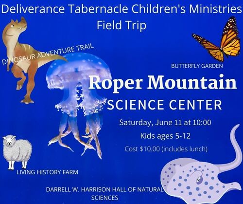 Roper Mountain Science Center Field Trip :: VBS Pro :: Group Publishing