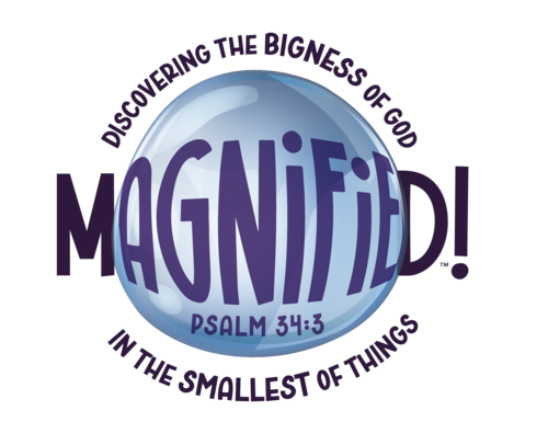 VBS 2025 :: VBS Pro :: Group Publishing